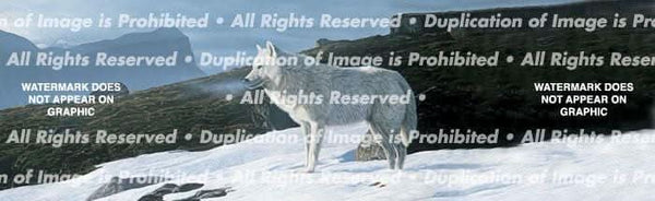Arctic Wolf Rear Window Decal – Custom Vinyl Graphics