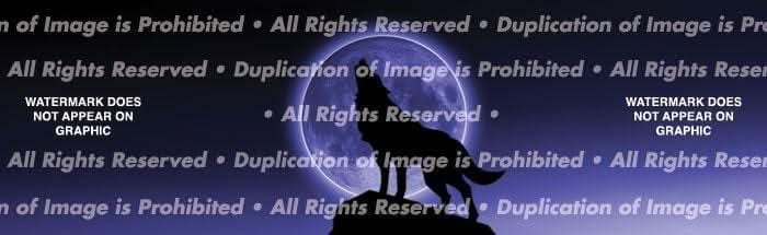Howling at the Moon Rear Window Decal – Custom Vinyl Graphics