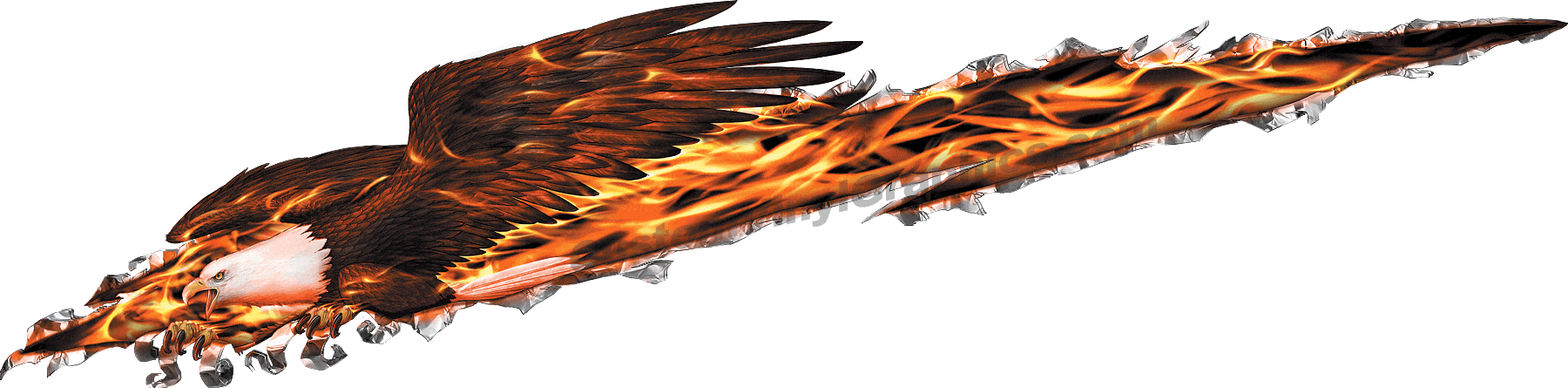 Eagle Side Tear Vinyl Graphic – Custom Vinyl Graphics