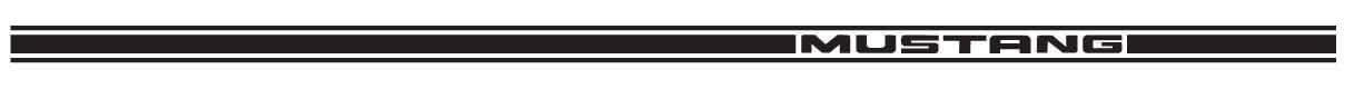 Mustang Rocker Stripes (1999-2004) – Custom Vinyl Graphics