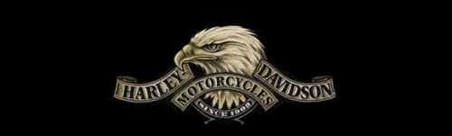 Side View Eagle Harley-Davidson Rear Window Decal – Custom Vinyl Graphics