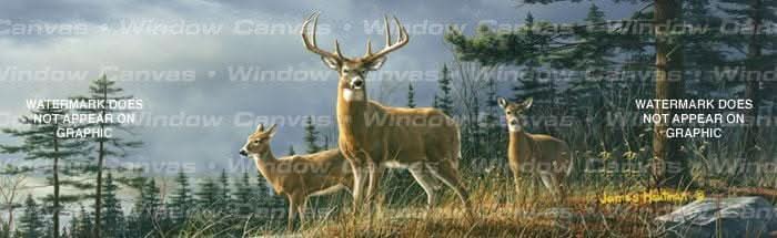 Autumn Whitetails Rear Window Decal – Custom Vinyl Graphics