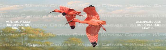 Flamingos Rear Window Decal – Custom Vinyl Graphics