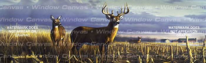 Legendary Whitetails Decals