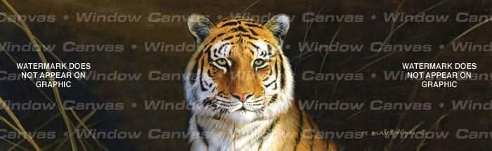 Tiger Portrait Rear Window Decal – Custom Vinyl Graphics
